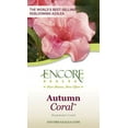 Encore Azalea Autumn Coral (1 Gallon) Coral Pink Flowering Shrub - Full ...