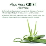 Grisi Aloe Vera Face Cream & Body Lotion Freshness, 3.8 oz (Pack of 2 ...