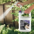 Bonide Termite and Carpenter Ant Killer, Ready to Use Insecticide, 1 ...
