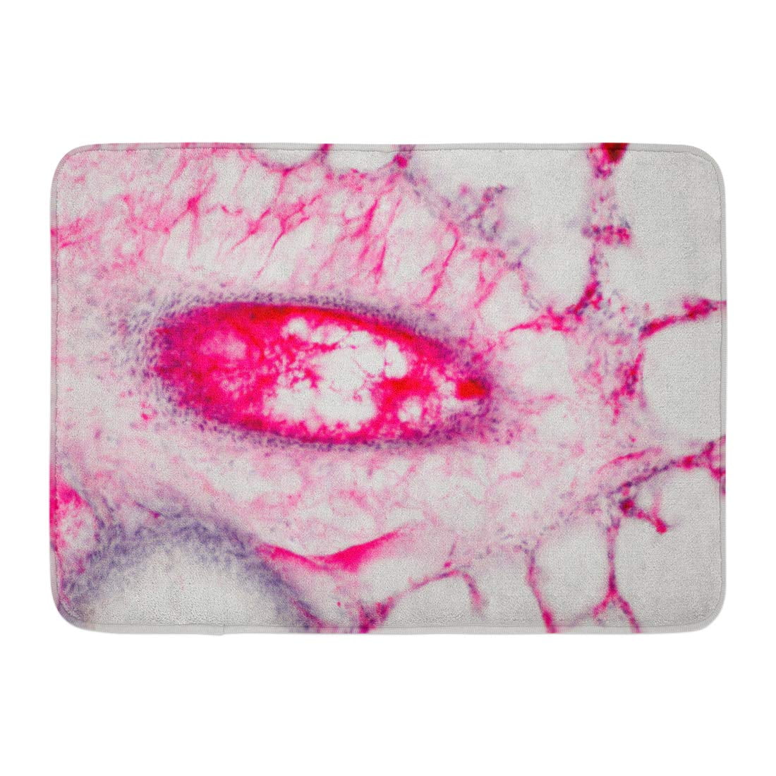 SIDONKU Human Lung Tissue Under Microscope View are The Primary Organs ...