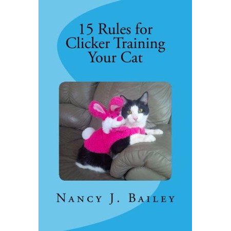 15 Rules for Clicker Training Your Cat | Walmart Canada