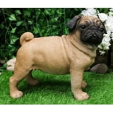 Ebros Decorative Large Realistic Fawn Pug Dog Statue, Fine Pedigree ...