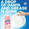 Dawn Gentle Clean Dish Soap - Liquid - 24 fl oz (0.8 quart ...