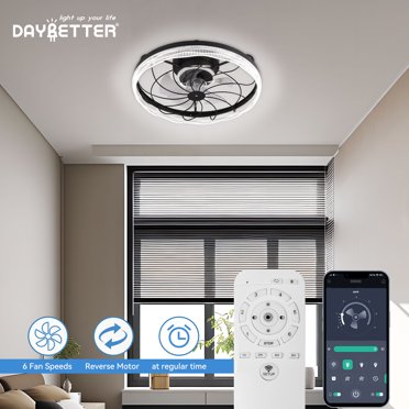 Hunter Southern Breeze 42" Ceiling Fan w/ Lights and Pull Chain ...