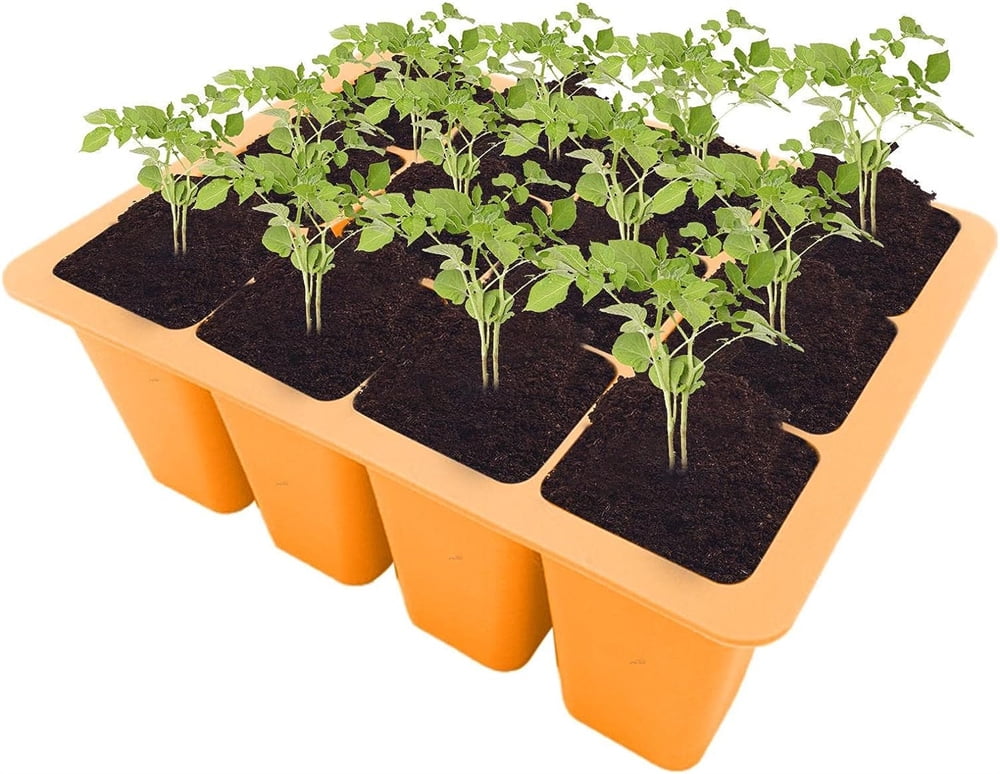 Duslogis Seed Starter Tray - 12 Cell Seedling Pot Germination Trays ...