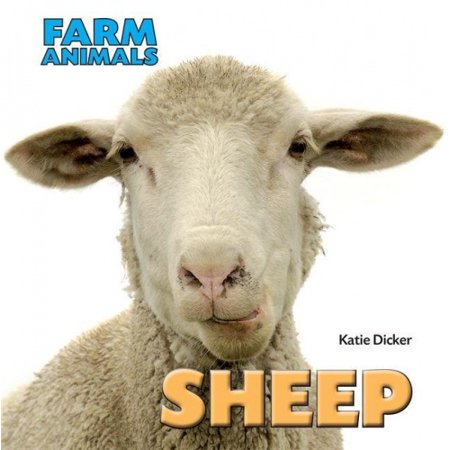 Sheep (Farm Animals) | Walmart Canada