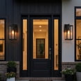 44176 1-Light Outdoor/Indoor Wall Sconce, Matte Black Finish, Clear ...