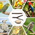 BESTSKY 8 PCS Bird Perches for Cage, Natural Wood Parrot Perch Stand ...