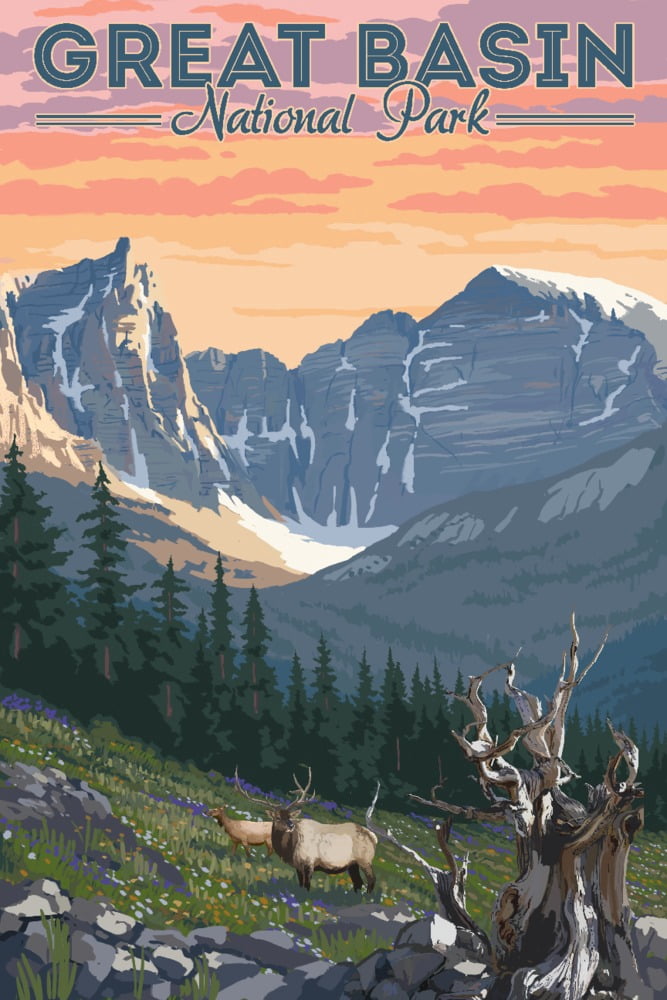 Great Basin National Park, Nevada, Elk and Spring Flowers (24x36 Giclee ...