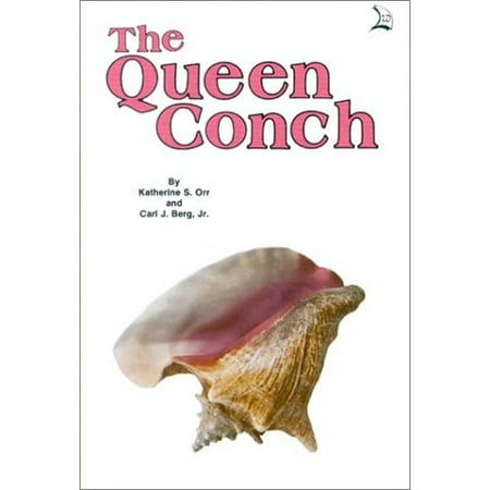 Queen Conch | Walmart Canada