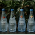 Clearly Canadian Sparkling Flavored Water (4 Flavor Sampler, 12 Pack Variety) - Walmart.com