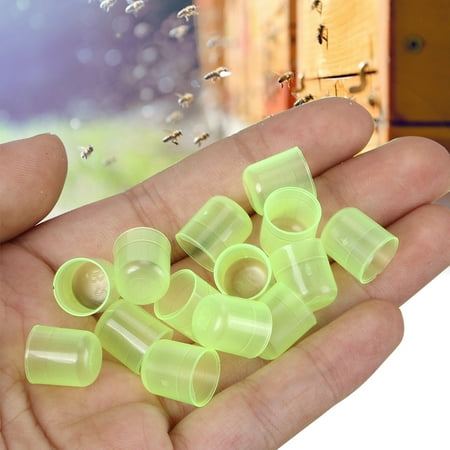 Gupbes 1000pcs Queen Cell Cups Queen Rearing System Honey Bee ...