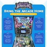 Wonderland Amusements Alice Goes to Wonderland Pinball Machine with LED ...