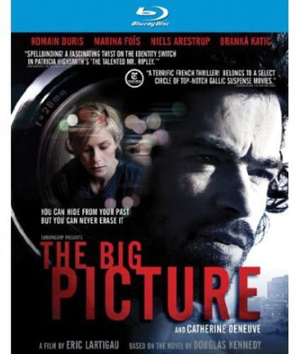 The Big Picture (Blu-ray) - Walmart.com