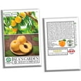 Lovell Peach Tree Seeds for Planting, (Prunus persica), 2 Heirloom ...