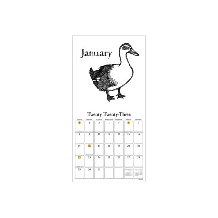 TF Publishing - Calendar - wall mount - 2023 - duck, duck, goose ...
