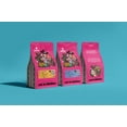 Single Origin Coffee - Shade Grown Specialty Coffee-Medium Roast ...