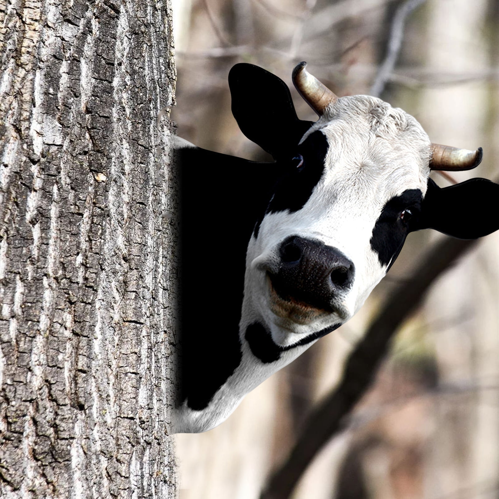 Washranp 3D Metal Peeping Animal Wall Art Decor,Rust-proof Wrought ...