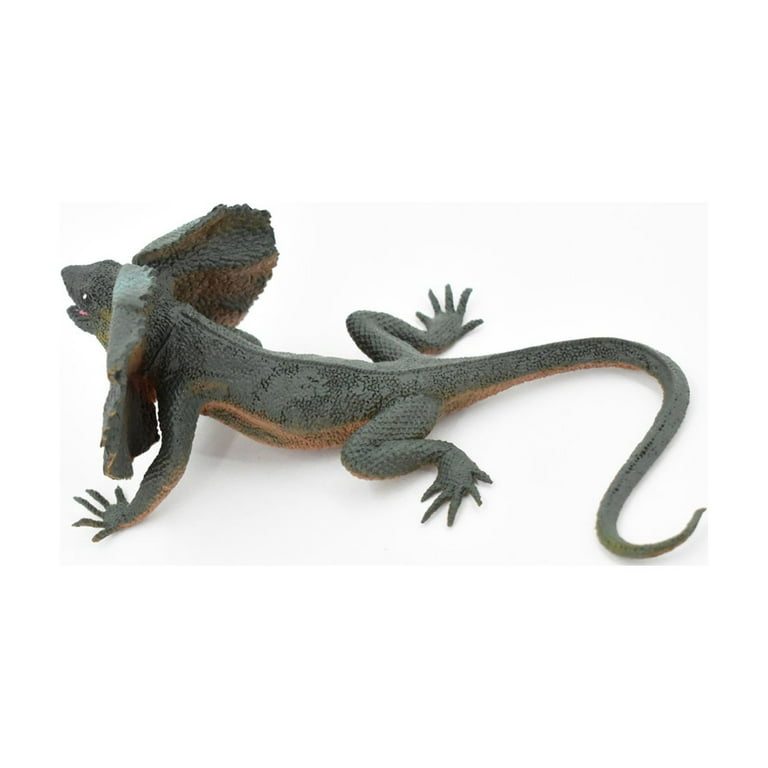 Baby Frilled Neck Lizard