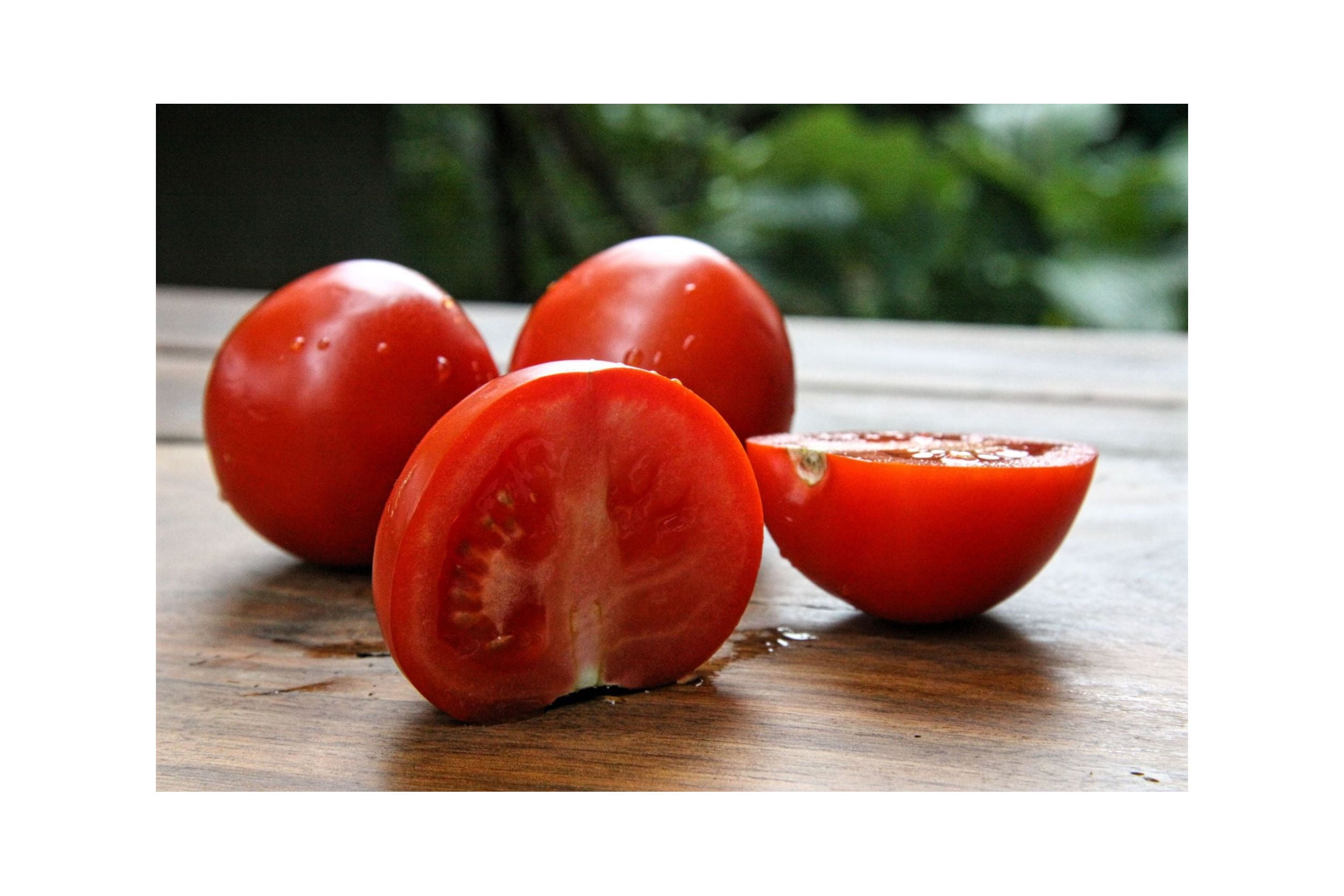 SEEDS === Rutgers Heirloom Tomato 20 Seeds Old time Favorite - Walmart.com