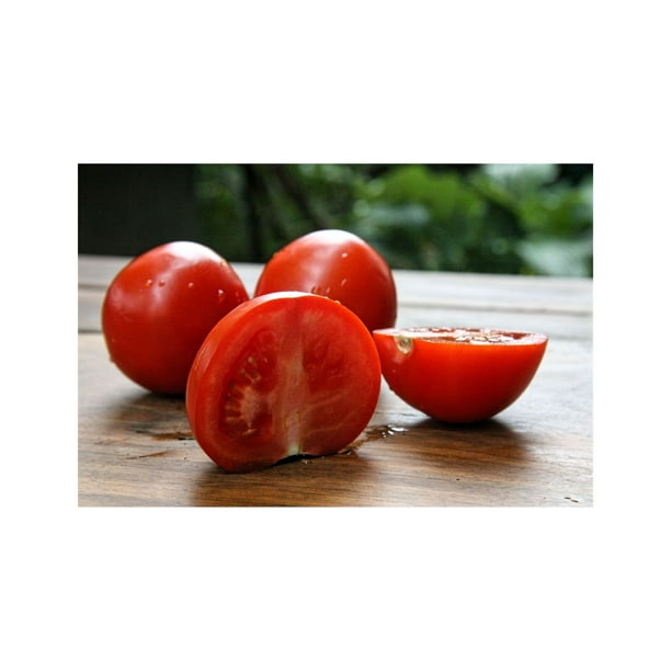 SEEDS === Rutgers Heirloom Tomato 20 Seeds Old time Favorite - Walmart ...