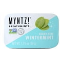 MYNTZ! Brand Wintermynt Blast Wintergreen Flavor Mints, Dentist ...