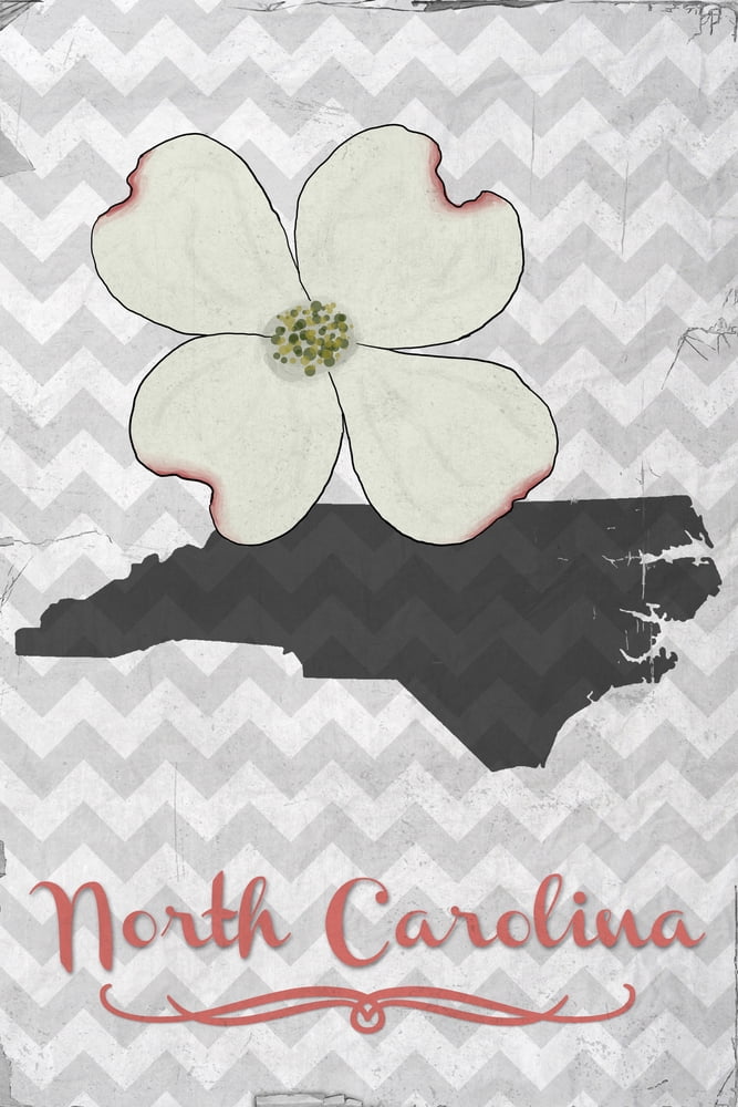 North Carolina, State Flower, Dogwood (16x24 Giclee Gallery Art Print ...