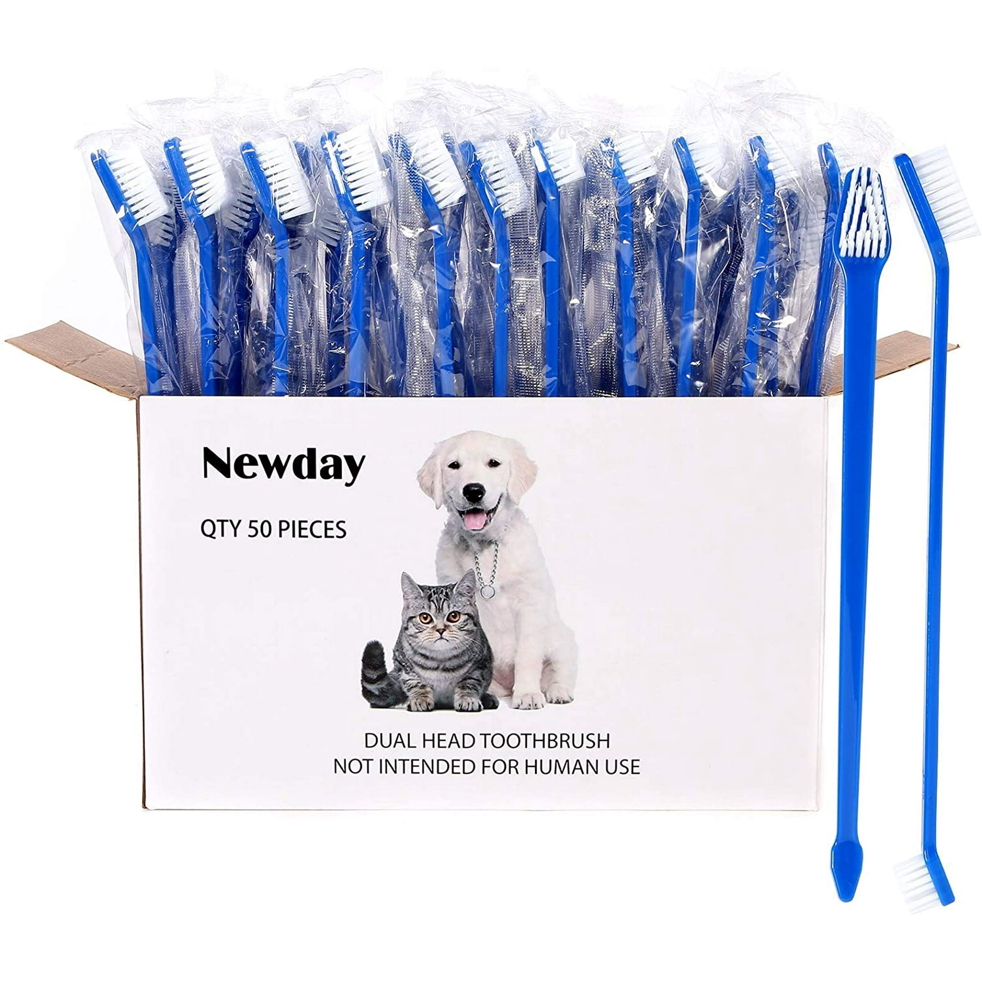 What Toothbrush To Use For Dogs