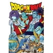 Dragon Ball Super Dragon Ball Super, Vol. 17, Book 17, (Paperback ...