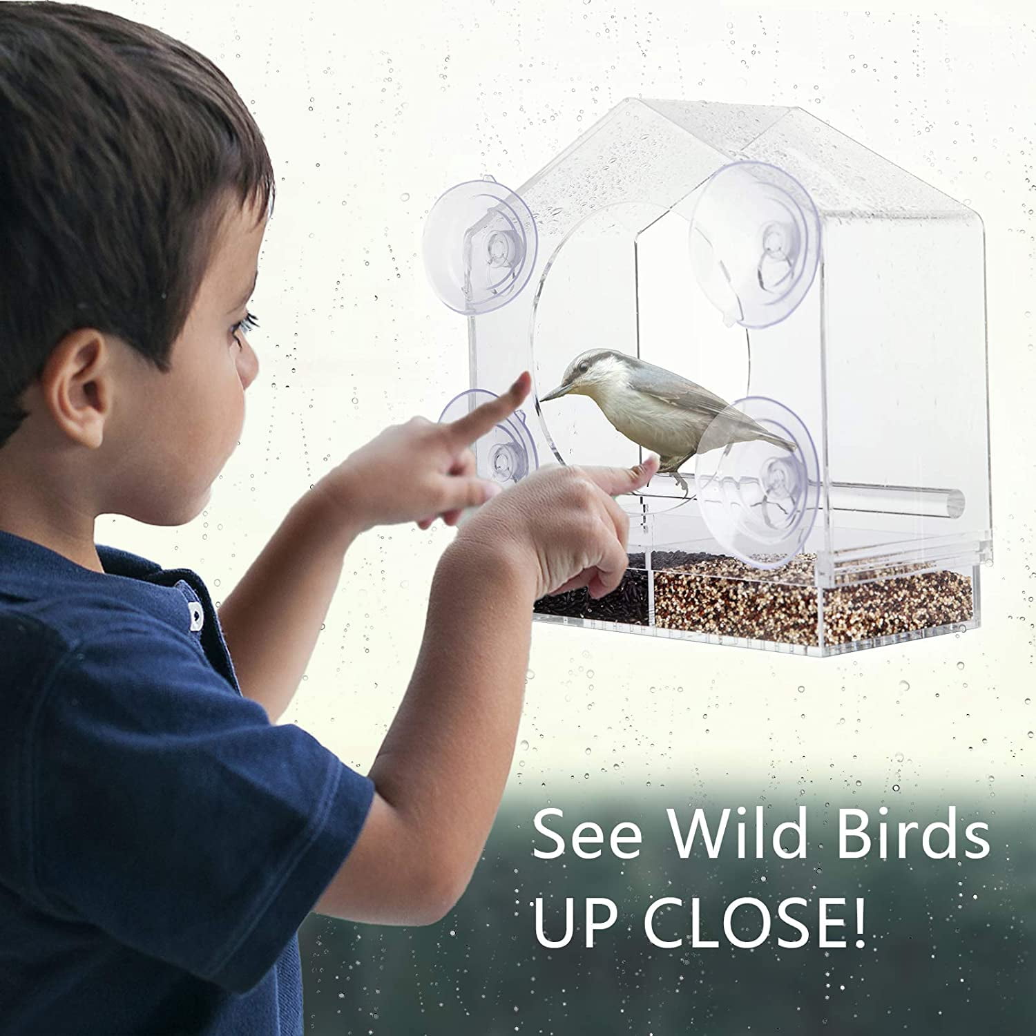 Buy Squirrel Proof Window Bird Feeder with 4 Strong Suction Cups and ...