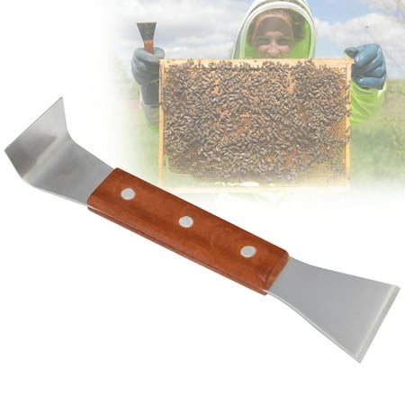 Coofit Bee Hive Scraper Tool Stainless Steel Practical Hive Hand Tool ...