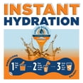 Java House Liquid Science Hydration Concentrate Single Serve Liquid ...