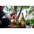 Reed's Extra Craft Ginger Beer, 12 fl oz, 4 Pack Bottles - Walmart.com