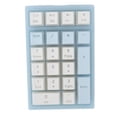 21 Key Numeric Keypad Backlit Ergonomic Small Mechanical Numpad Numeric ...