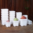 Set Of 10 Piece Modern Succulents Pots User Friendly Indoor Plant ...