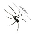 5PCS Realistic Spider Refrigerator Magnet - 3D Novelty Sticker for ...