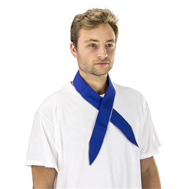 ThermaSure Cooling Neck Band, Blue - Walmart.com - Walmart.com