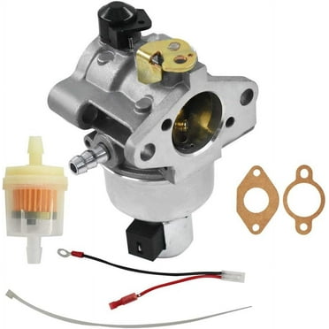 For Briggs & Stratton Carburetor 112202 112232 134202 137202 133212 5HP ...