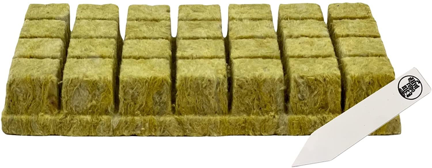 1.5" Grodan Rockwool A-OK Seed Starter Plugs, Sheet of 28 + THCity ...