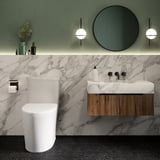 Beau One-Piece Elongated Toilet Dual-Flush 1.1/1.6 gpf - Walmart.com