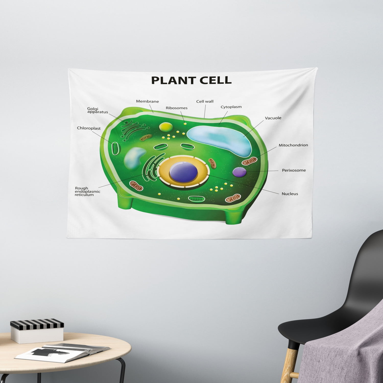 Educational Tapestry, Plant Cell Biology Research Botany Anatomy ...