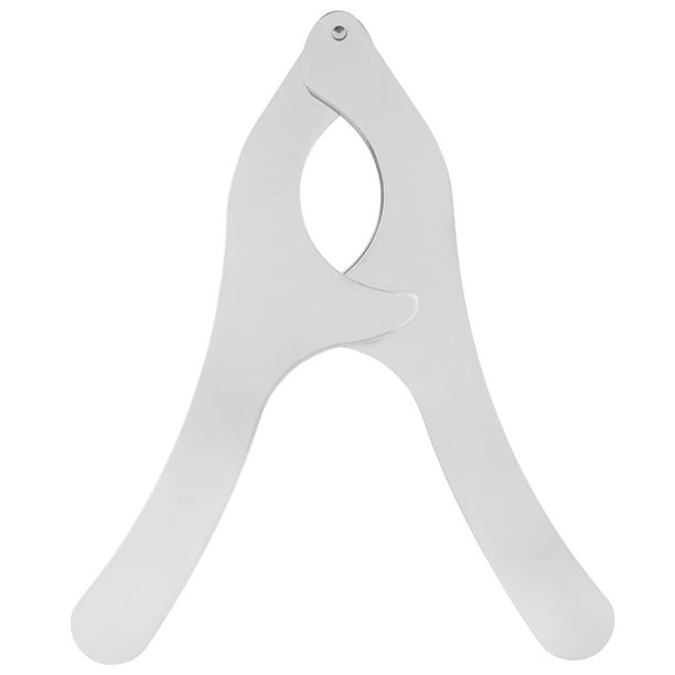 Stainless Steel Sea Urchin Cutter Opener Multifunctional Seafood Tool ...