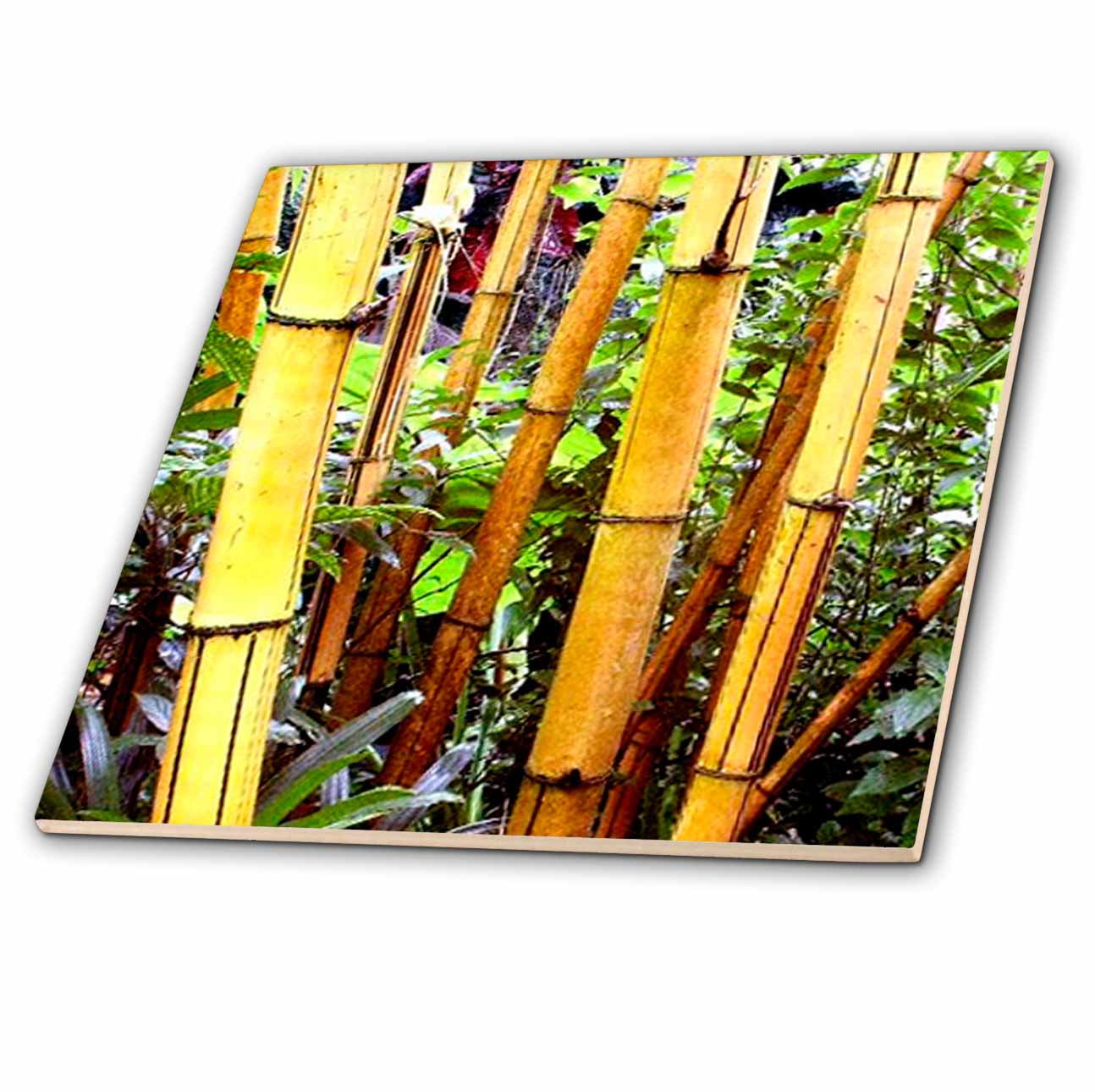 3dRose Bamboo - Ceramic Tile, 4-inch - Walmart.com