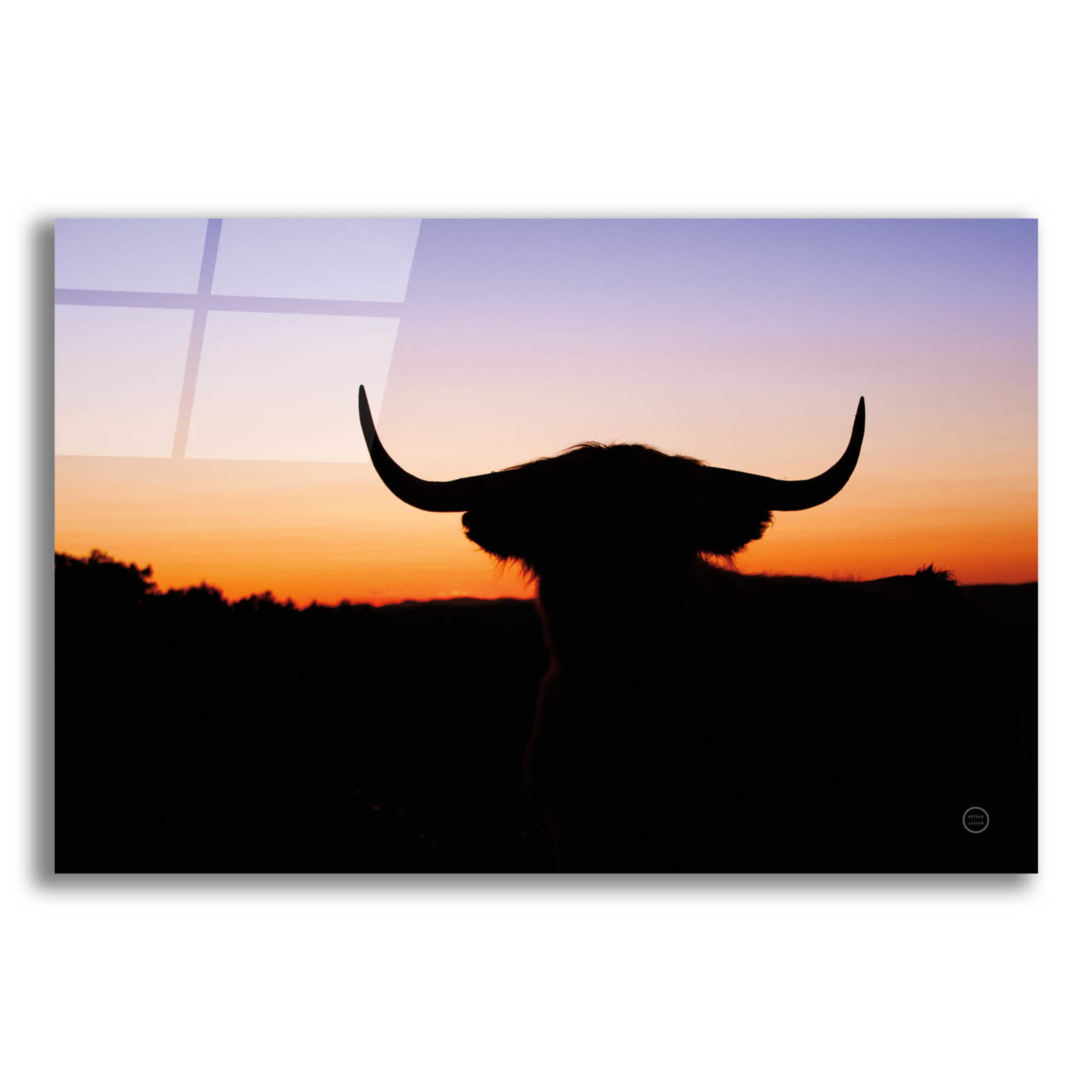 Epic Art 'Bull Set' by Nathan Larson, Acrylic Glass Wall Art, 16"x12 ...