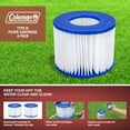 Coleman Type VI Spa Filter Cartridge 4-Pack - Walmart.com