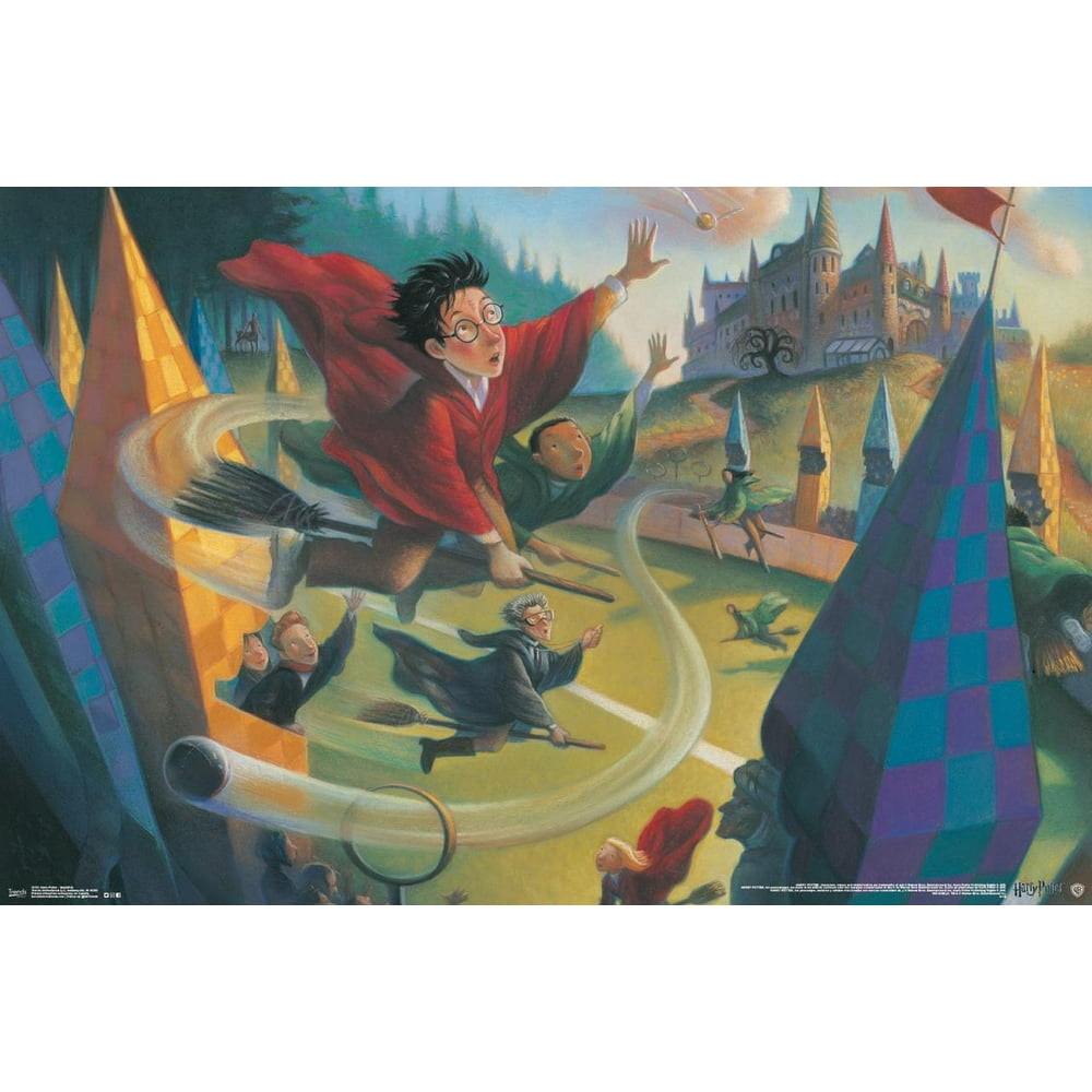 Harry Potter - Quidditch Poster and Poster Mount Bundle - Walmart.com ...