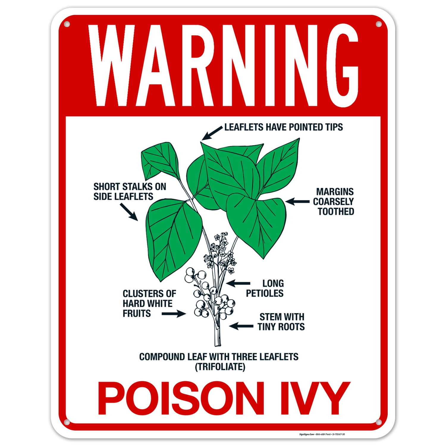 Warning Poison Ivy Sign, - Walmart.com