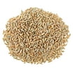 CZ Grain Authentic 6 Fresh Chestnut Tree Seeds for High Yield Planting ...