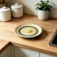 All-in-one Premium Ceramic Garlic Grater Plate - For Garlic, Ginger ...
