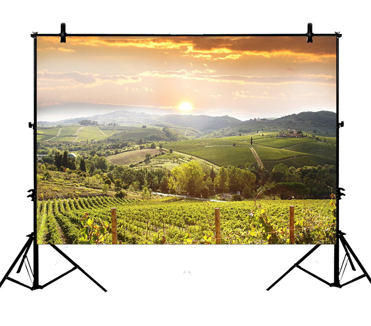 PHFZK 7x5ft Sunset View Backdrops, Chianti Vineyard Landscape in ...